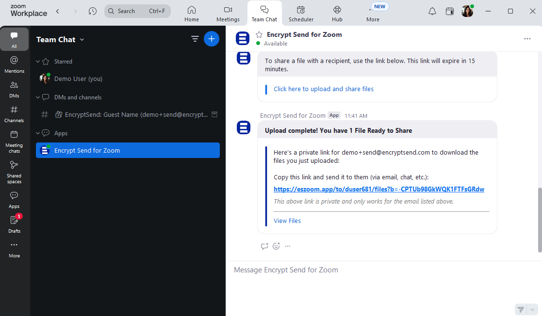 Encrypt Send — Secure File Sharing for Zoom